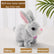 Interactive Bunny Toy – BetterLife
